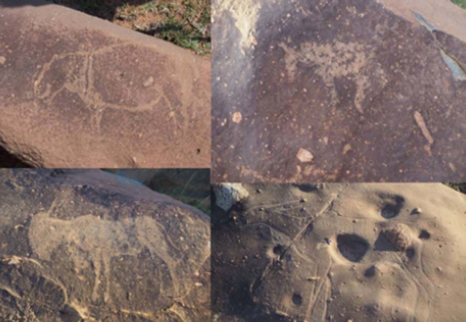 Petroglifi di 8.000 anni trovati nel più grande cratere del mondo